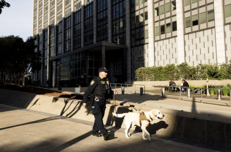 FBI, Capitol police testify in trial of man accused of attacking Pelosi ...